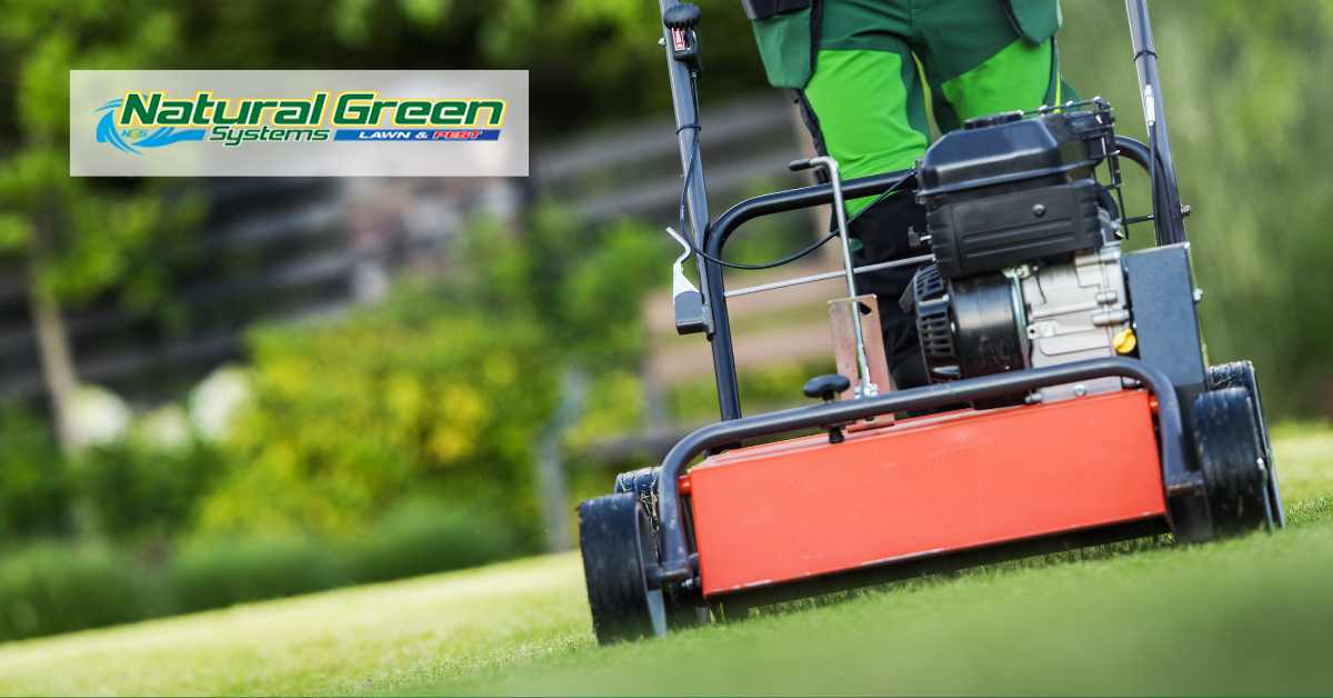 The Importance of Aeration and Overseeding in Early Fall