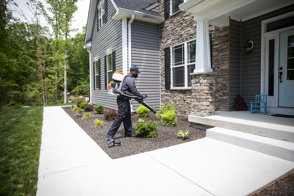 Mosquito Joe vs. Natural Green: 2 Pest Control Services in Central ...