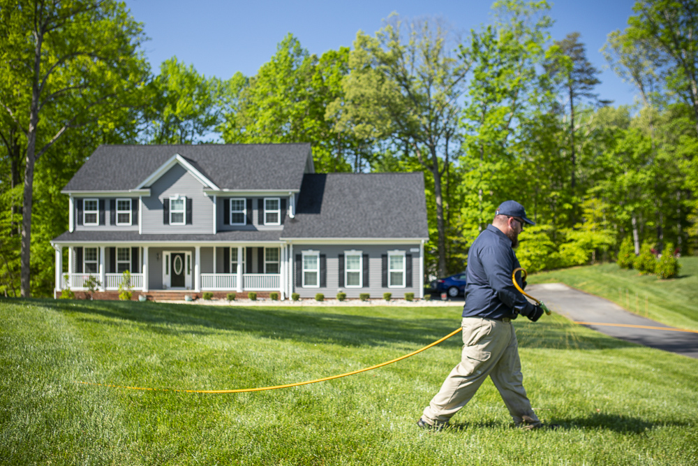 Revive Your Lawn with Liquid Dethatcher