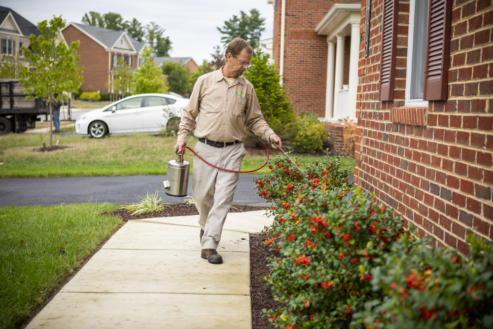 How Much Does Pest Control Cost? Comparing Prices in Central and ...